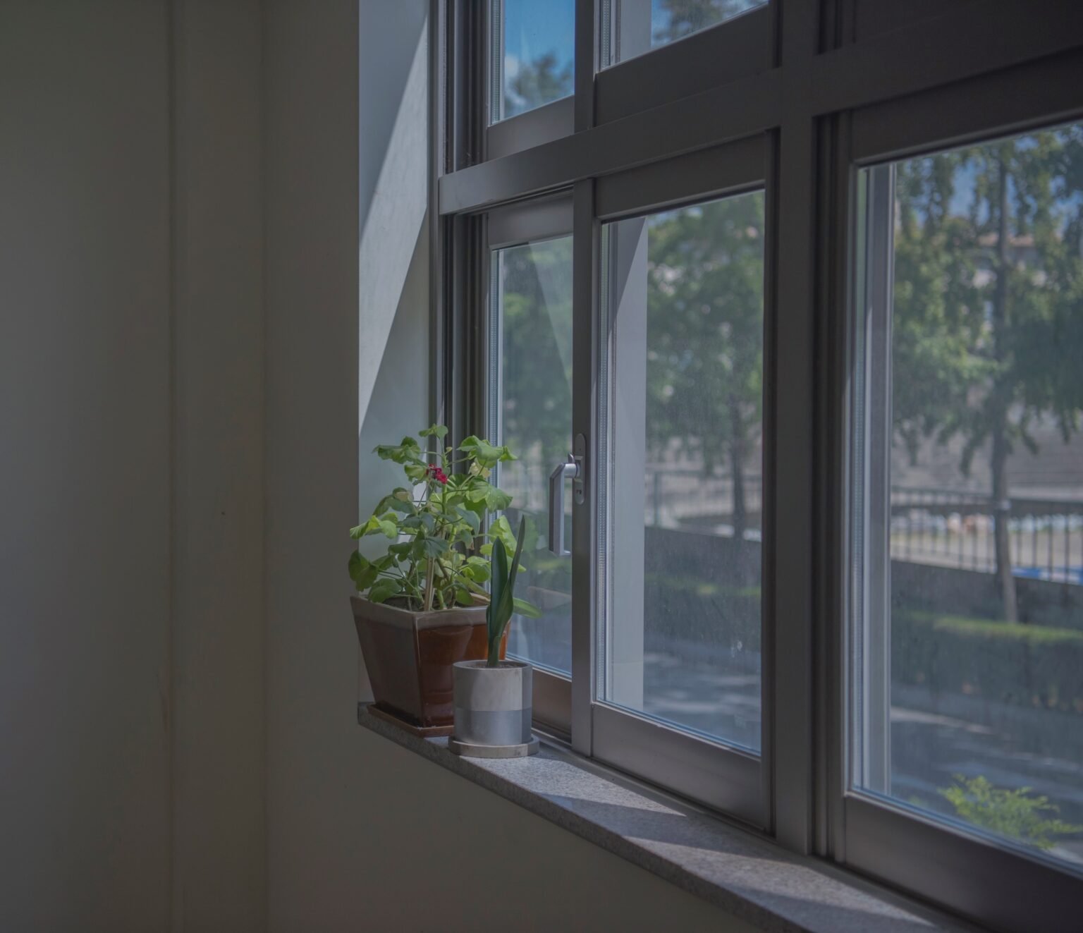 Window Tinting Experts in Santa Clarita, CA | 170+ Reviews